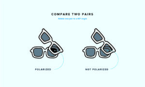 Polarized vs. Non-Polarized Sunglasses | Warby Parker