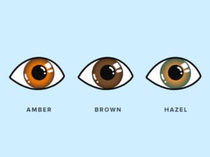 Amber Eyes: How Rare Are They? | Warby Parker