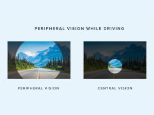 Peripheral Vision Test: What Is It? | Warby Parker