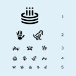 What Is Visual Acuity? | Warby Parker