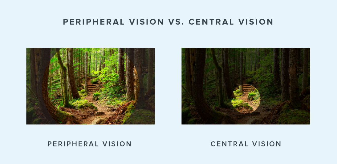 What Is Peripheral Vision Warby Parker