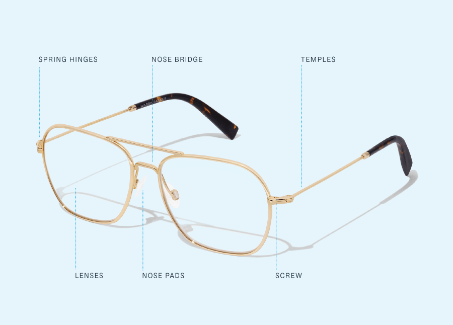 Nose Bridge Types for Glasses | Warby Parker